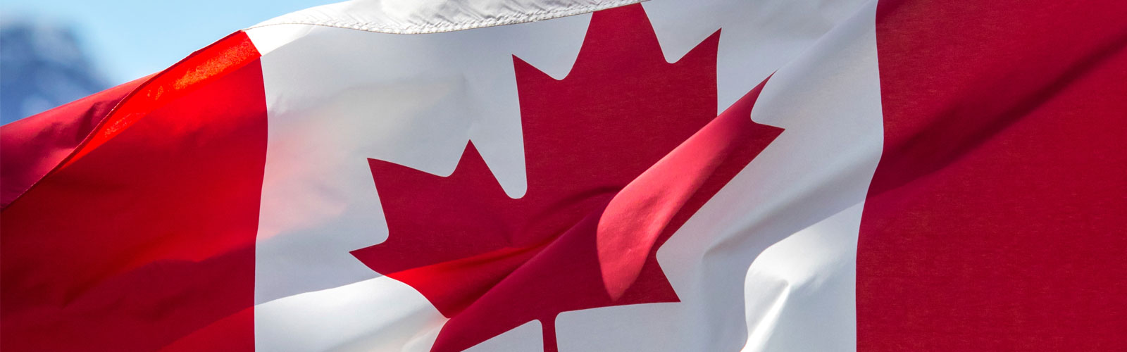 REQUEST CANADIAN PINS FOR AN EVENT — Tom Kmiec, MP